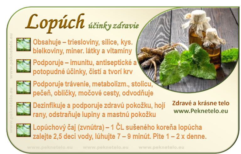 Lopúch sa dá použiť v prospech zdravia, ako? | Peknetelo.eu
